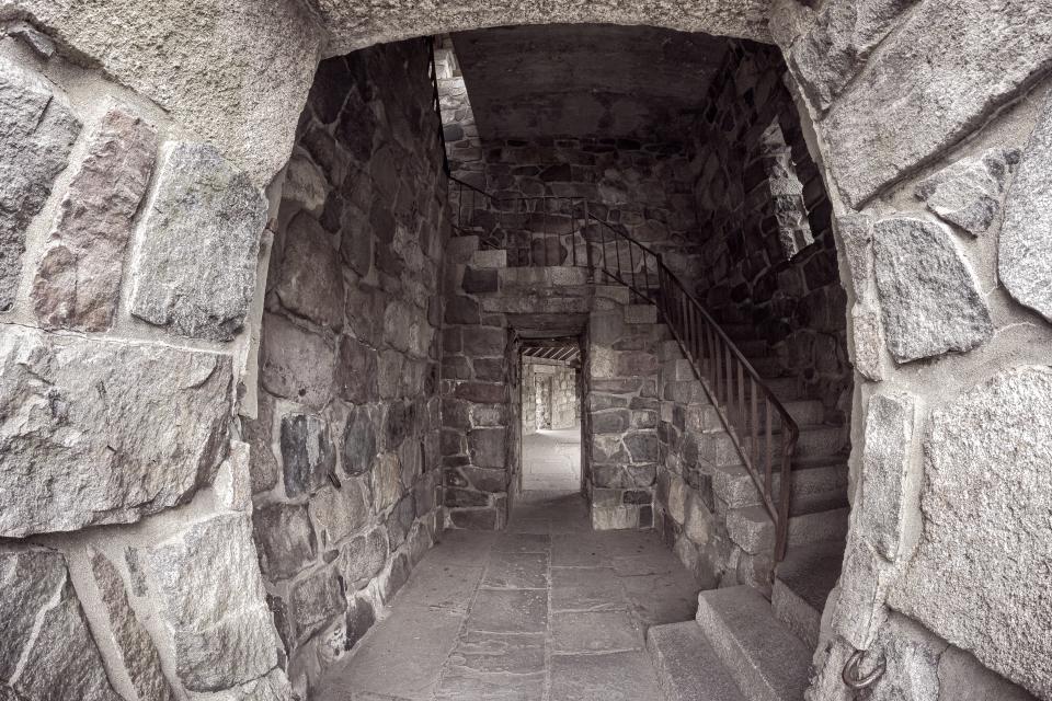 Dark Tower | Shutterbug